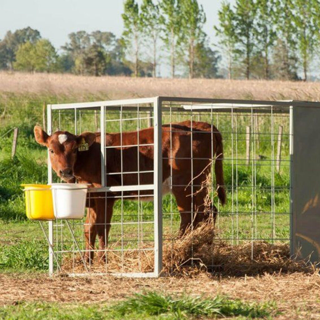 Guacheras – Mecano Ganadero